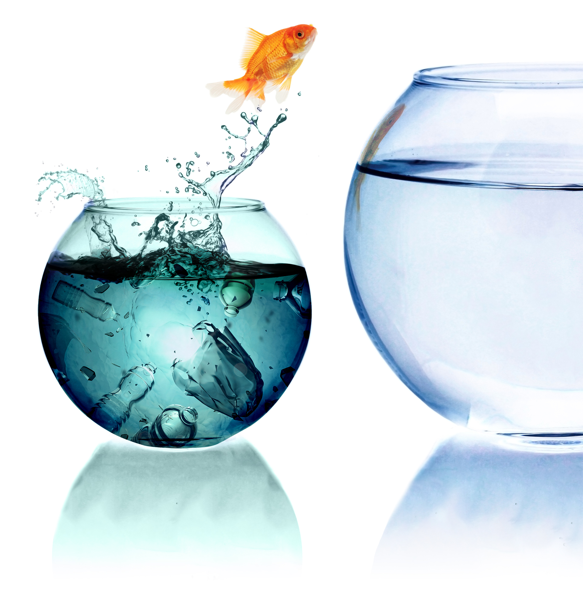 Sustainability and Health | Refresh Packaging